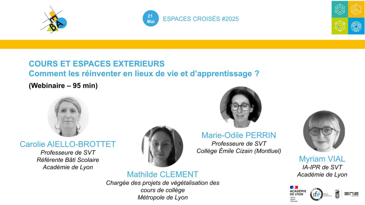 Dossier Espaces Croisés #3 : Cours et espaces extérieurs - Cellule BEA